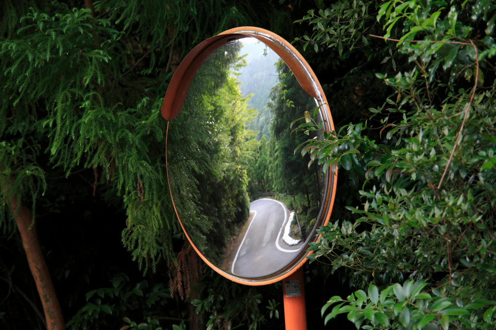 The Hidden Guardians of Japan's Roads – JAPANBITE